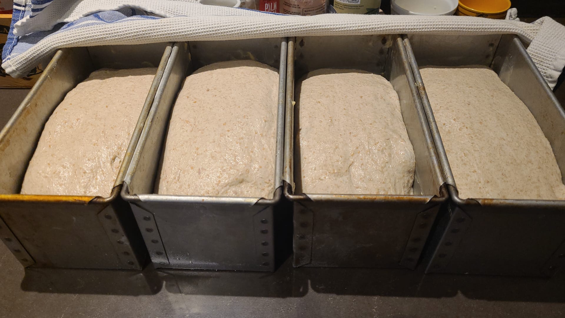 Bread and Wellness Workshops | Bread with Benefits